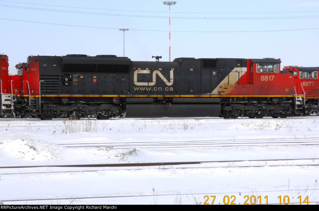 CN 8817